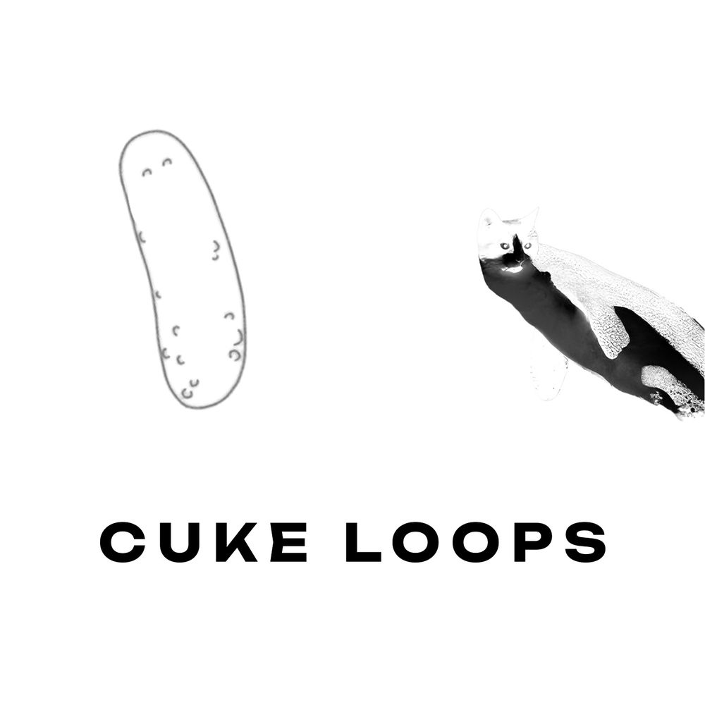 Download Cuke Loops Sample Packs & Loops | LANDR Samples