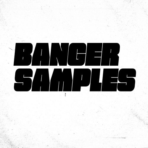 Download Banger Samples Sample Packs & Loops | LANDR Samples