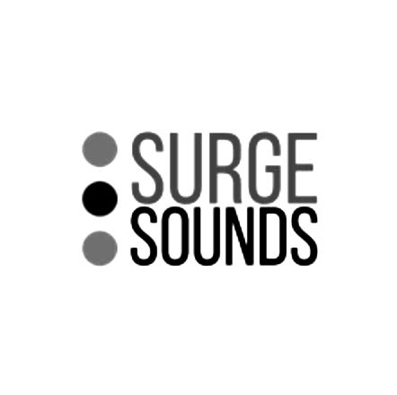 Download Surge Sounds Sample Packs & Loops | LANDR Samples