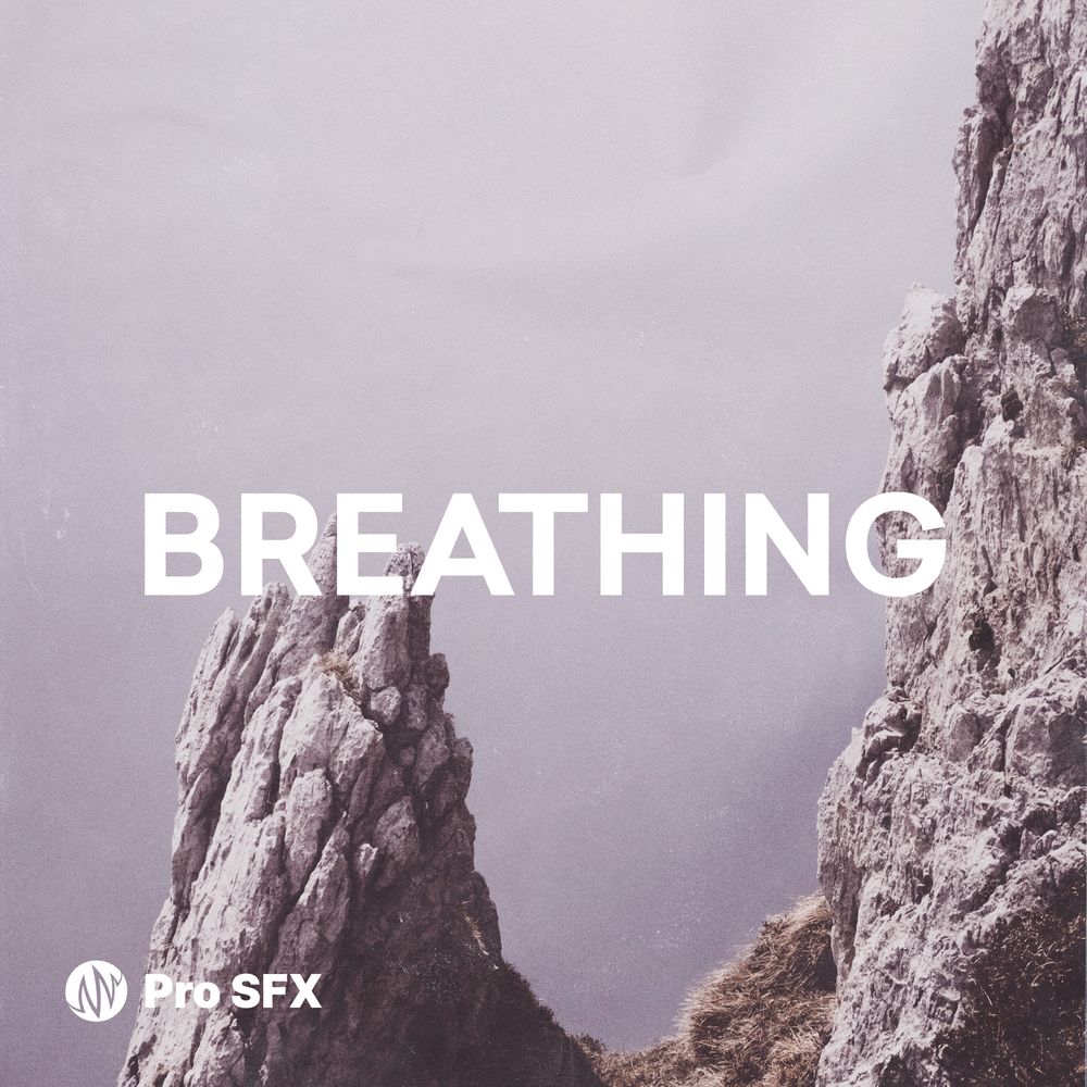 Breathing 샘플 팩 | LANDR Samples