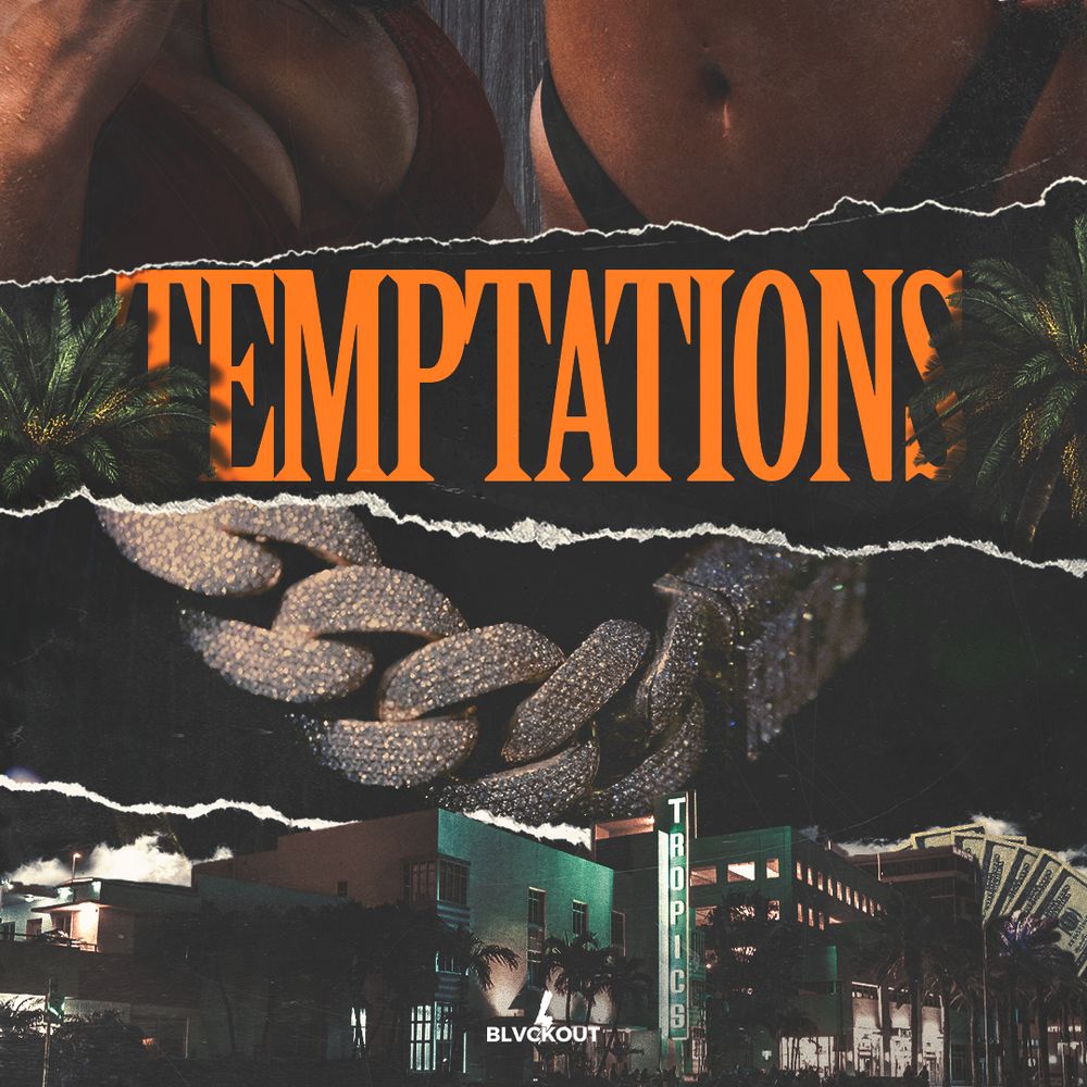 Temptations Sample Pack | LANDR Samples