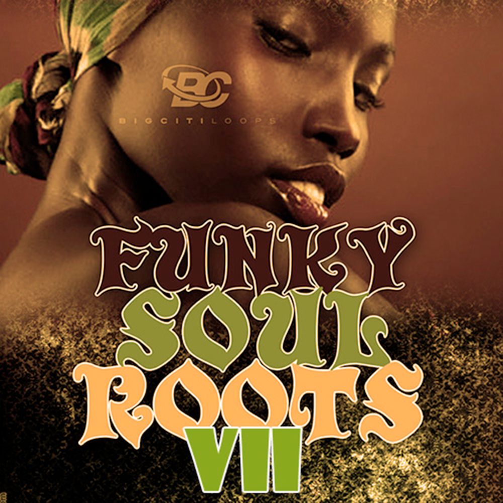 Funky Soul Roots 7 Sample Pack | LANDR Samples