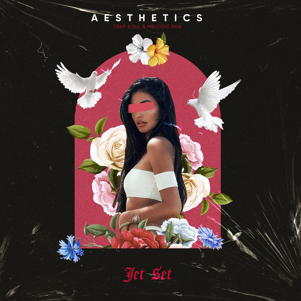 Aesthetics - Trap Soul & Melodic RnB Sample Pack | LANDR Samples