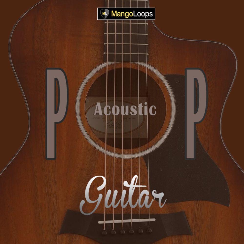 Pop Acoustic Guitar Vol 1 Sample Pack | LANDR Samples