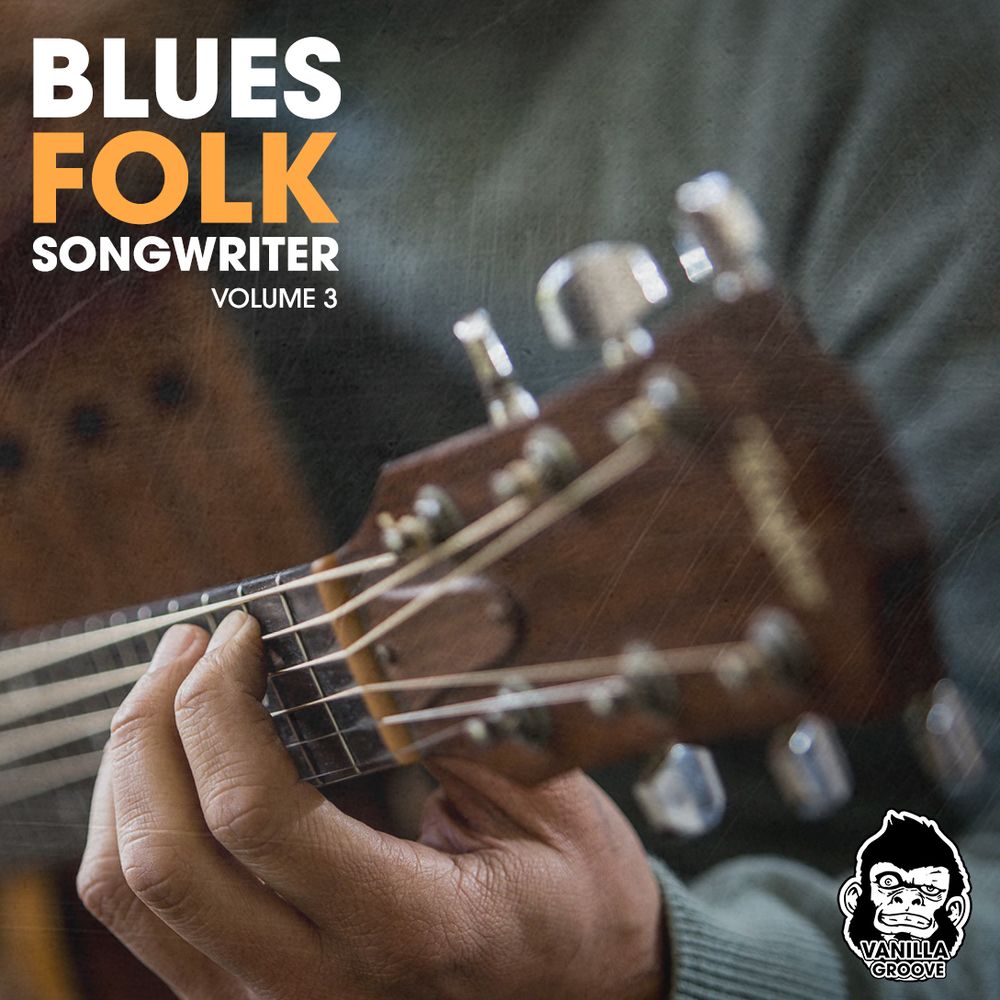 Blues Folk Songwriter Vol 3 Sample Pack | LANDR Samples