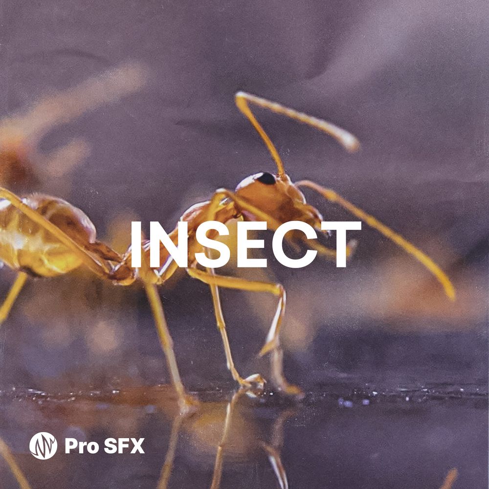 Insects Sample Pack | LANDR Samples