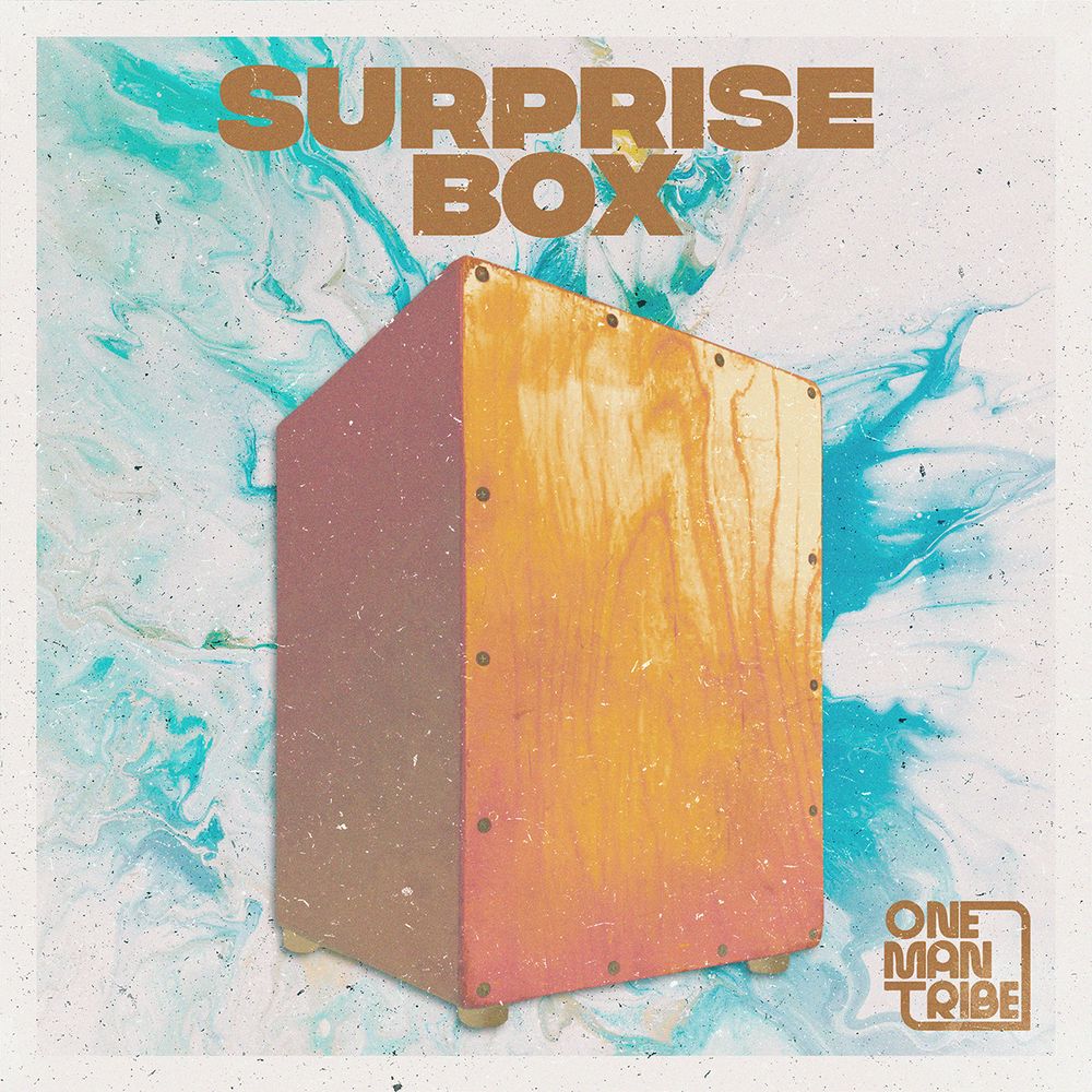 Surprise Box Sample Pack | LANDR Samples