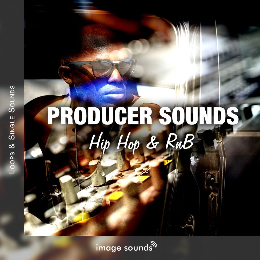 Producer Sounds - Hip Hop & RnB Sample Pack | LANDR Samples