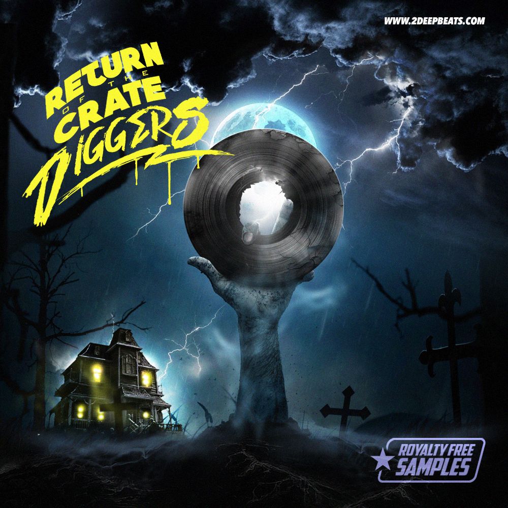 Return Of The Crate Diggers Sample Pack | LANDR Samples