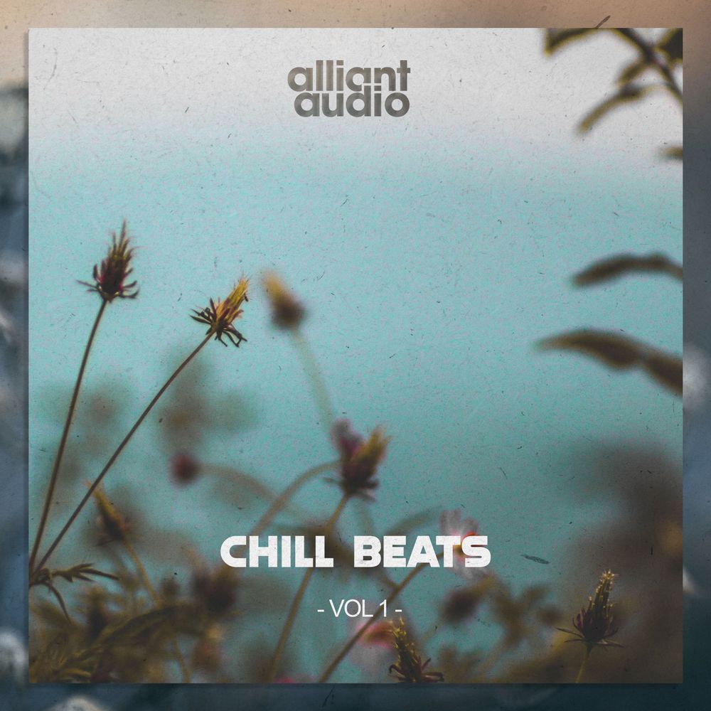 Chill Beats Vol.1 Sample Pack | LANDR Samples