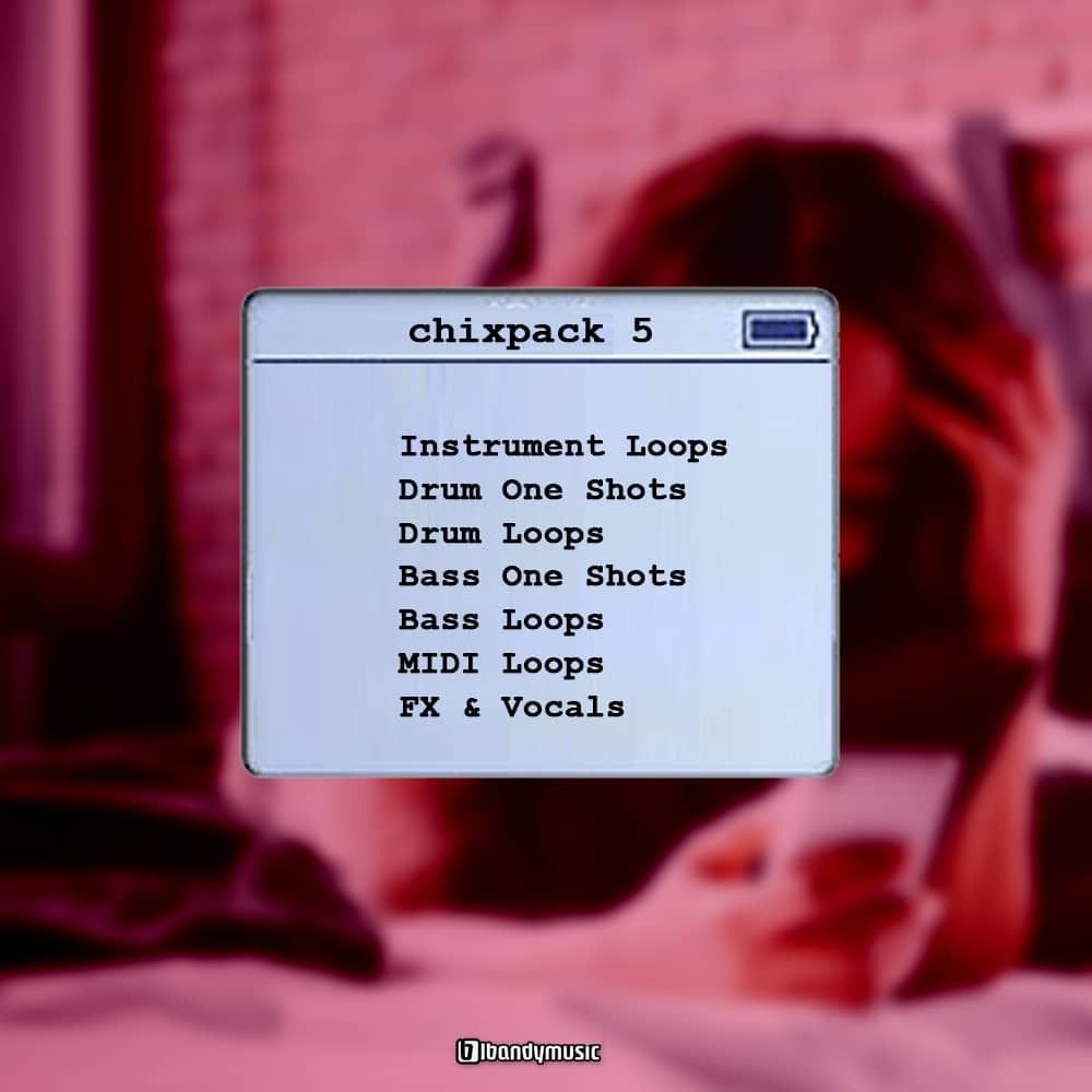 Chixpack Vol. 5 – TrapSoul & RnB Sample Pack | LANDR Samples
