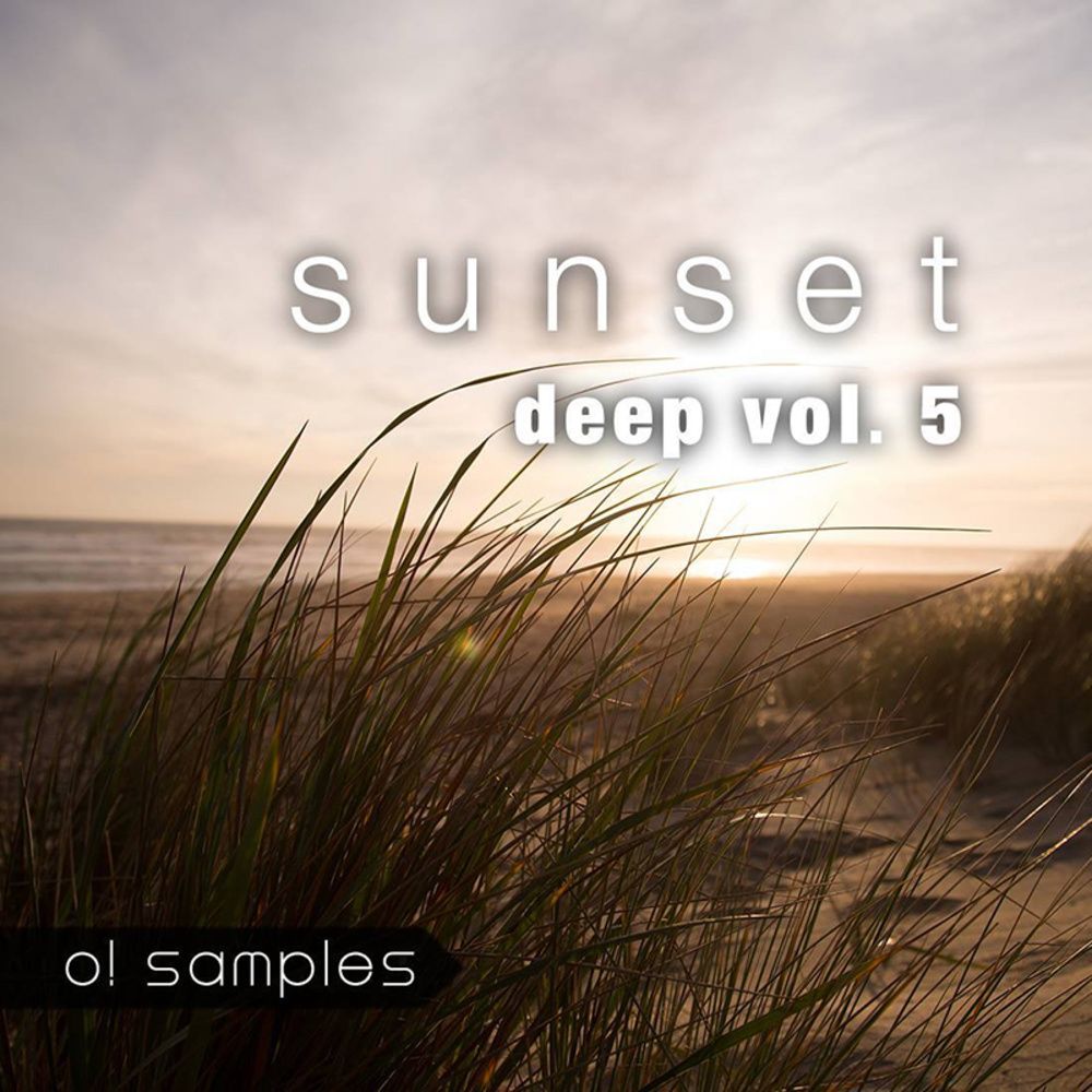 Sunset Deep Vol 5 Paquete de Samples | LANDR Samples