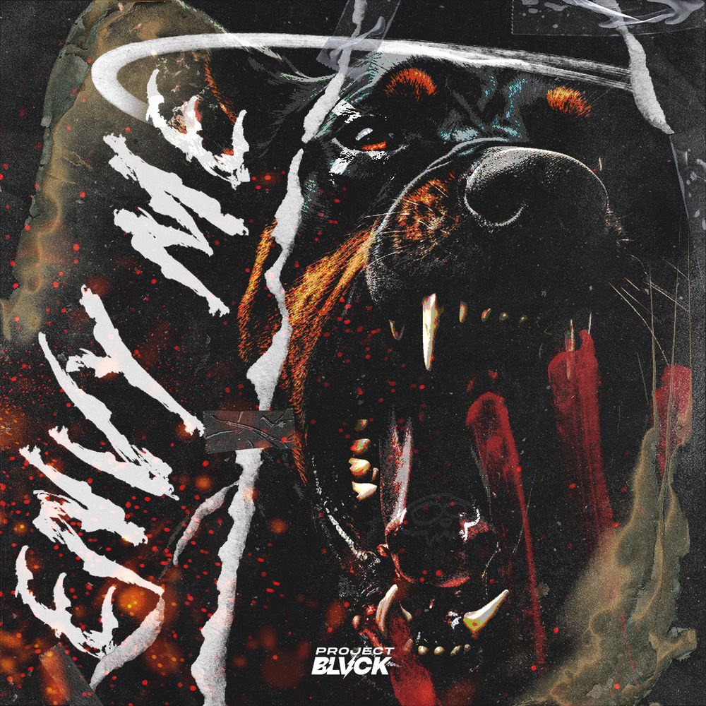 Envy Me Sample Pack | LANDR Samples