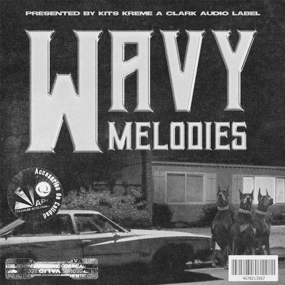 Wavy Melodies Sample Pack | LANDR Samples