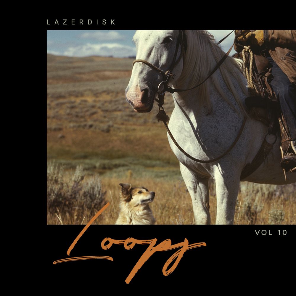 Lazerdisk Loops Vol. 10 Sample Pack | LANDR Samples