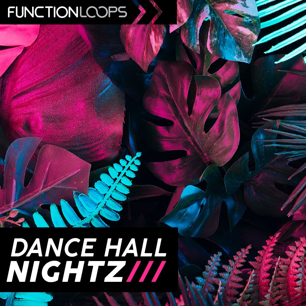 DanceHall Nightz Sample Pack | LANDR Samples