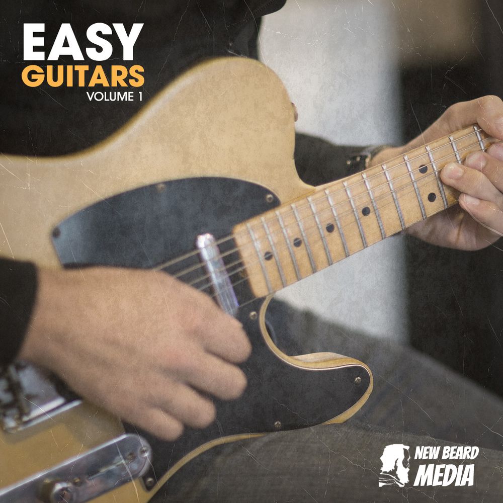 Easy Guitars Vol 1 Sample Pack | LANDR Samples