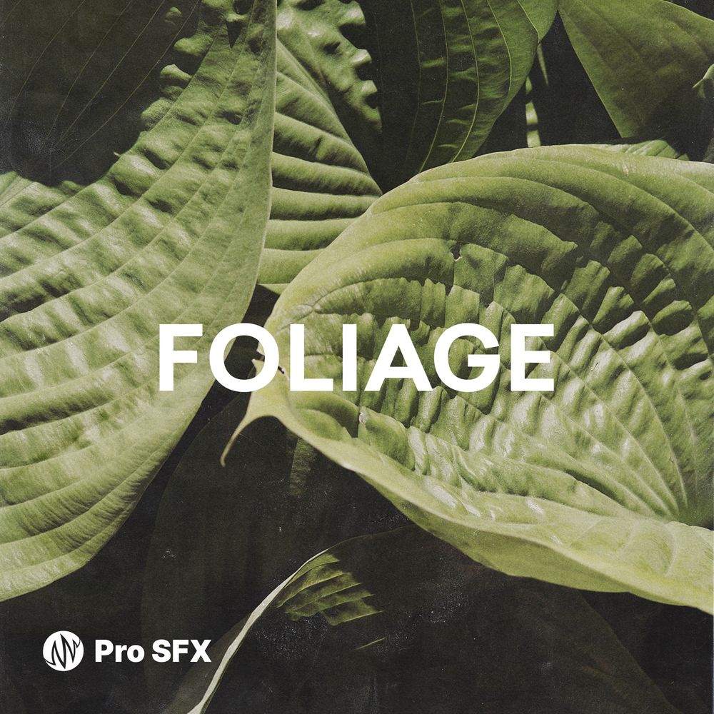 Foliage Sample Pack | LANDR Samples