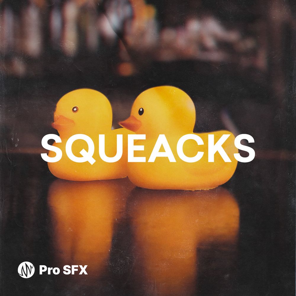 Squeaks Sample Pack | LANDR Samples