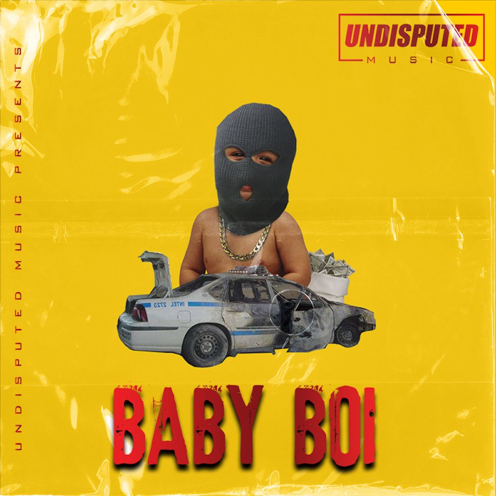 Baby Boi Paquete de Samples | LANDR Samples