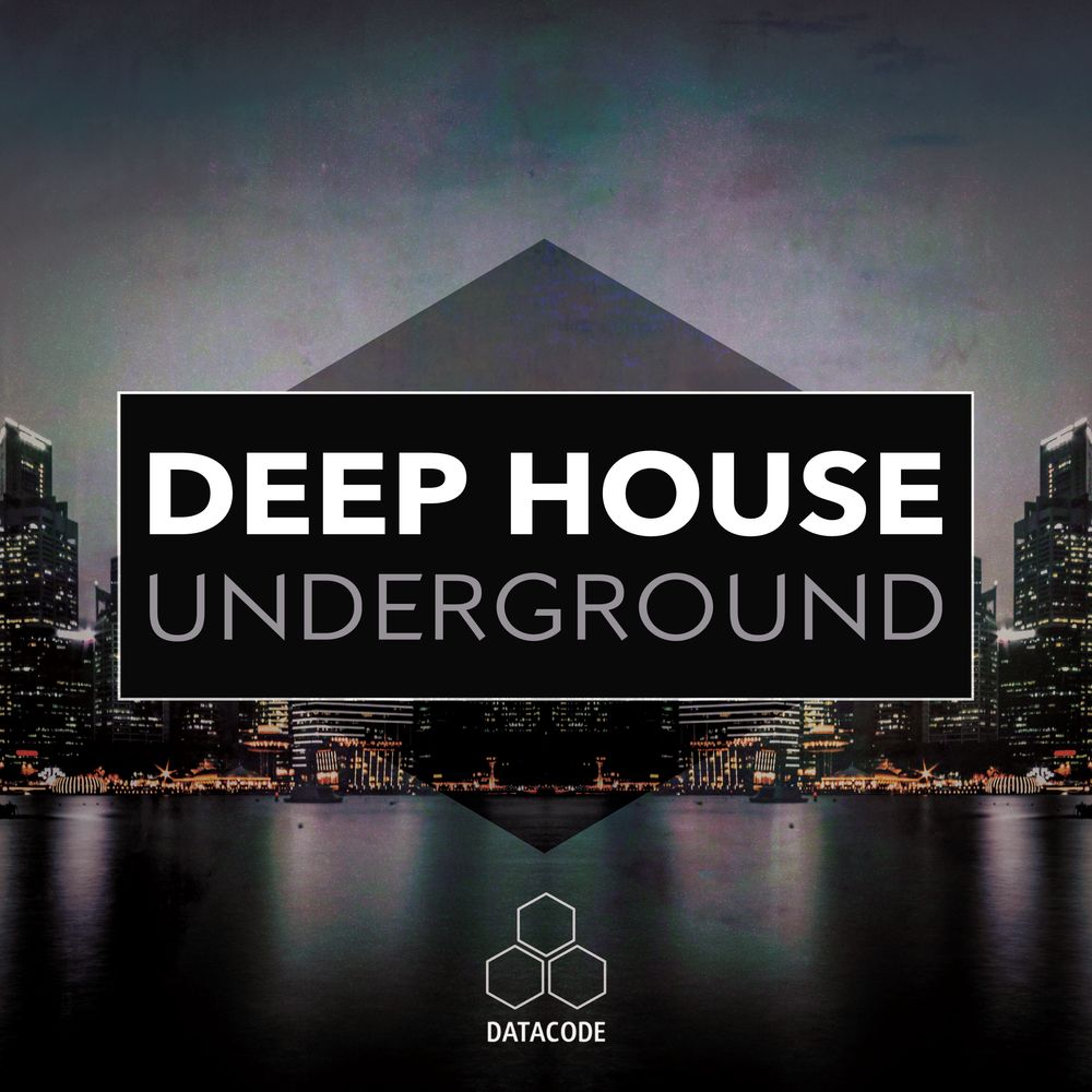 FOCUS: Deep House Underground Sample Pack | LANDR Samples