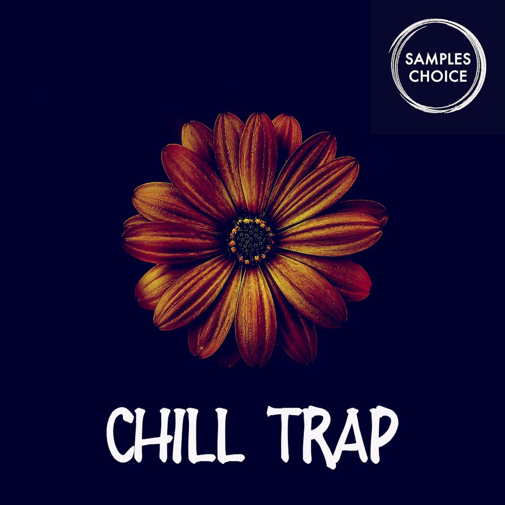Chill Trap Sample Pack | LANDR Samples