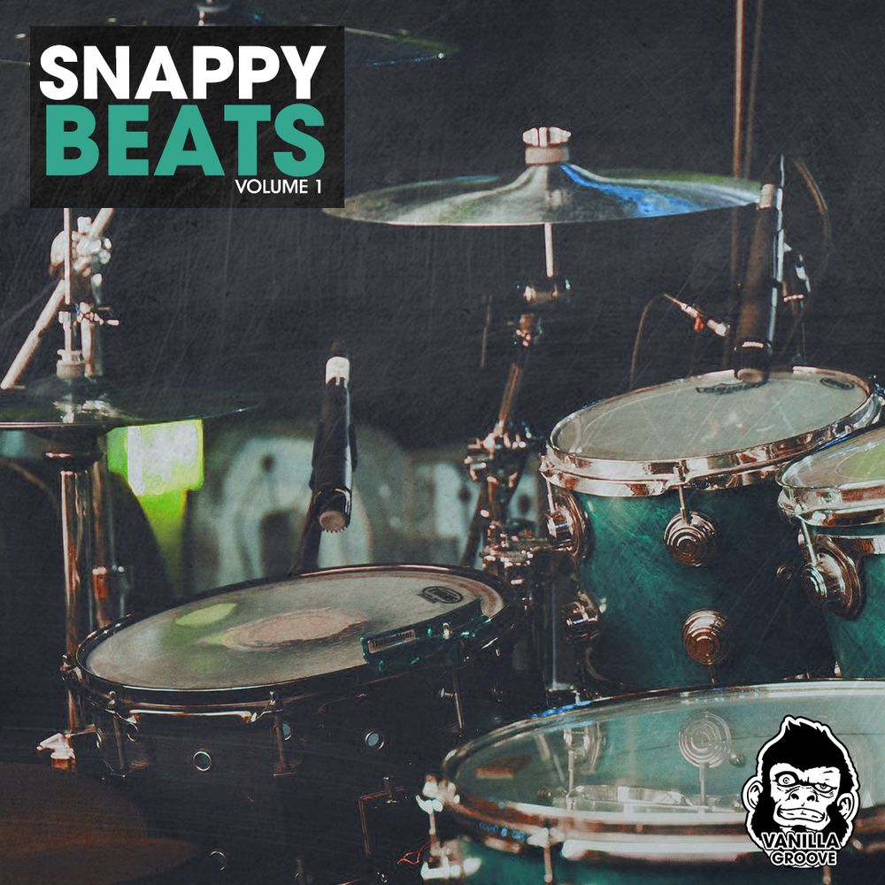 Snappy Beats Vol 1 Sample Pack | LANDR Samples