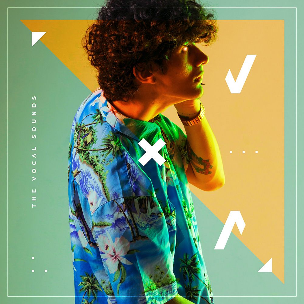 The Vocal Sounds Sample Pack | LANDR Samples