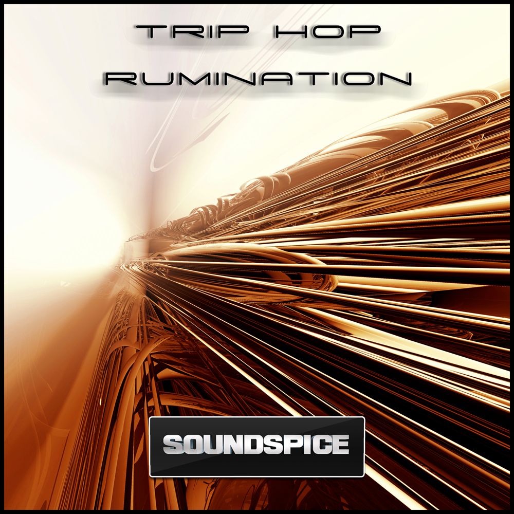 Trip Hop Rumination Sample Pack | LANDR Samples