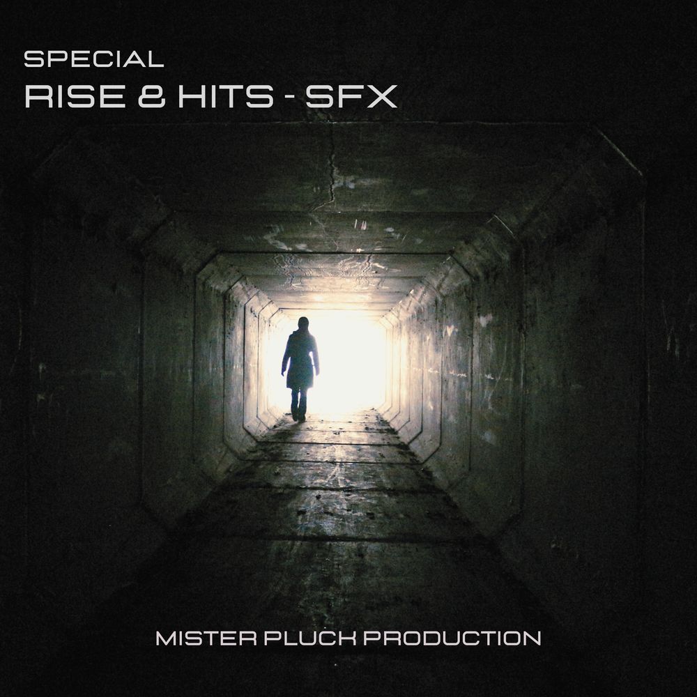 SFX Rise&Hit Sample Pack | LANDR Samples