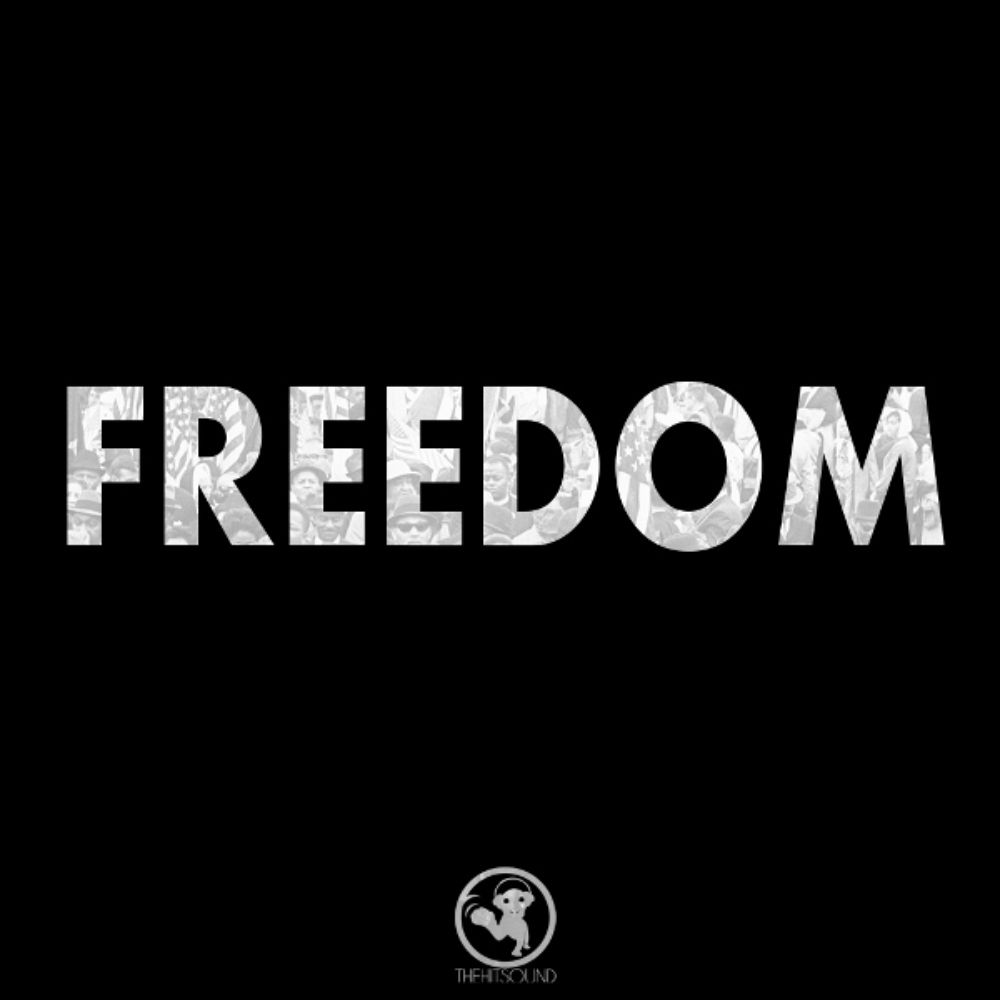 Freedom Sample Pack | LANDR Samples