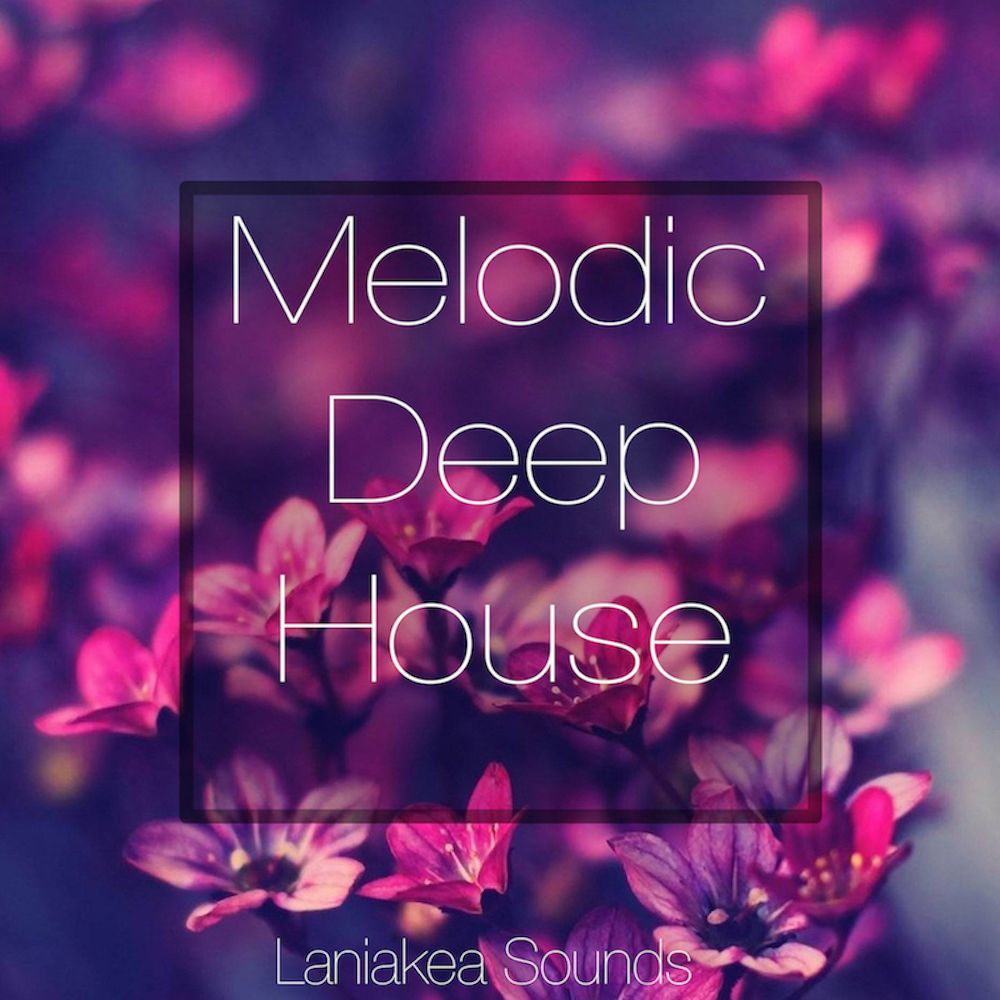 Melodic Deep House Sample Pack | LANDR Samples