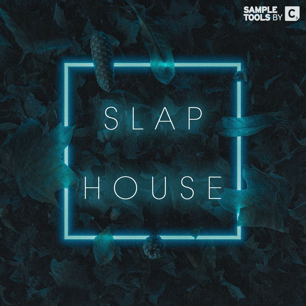 Slap House Sample Pack | LANDR Samples