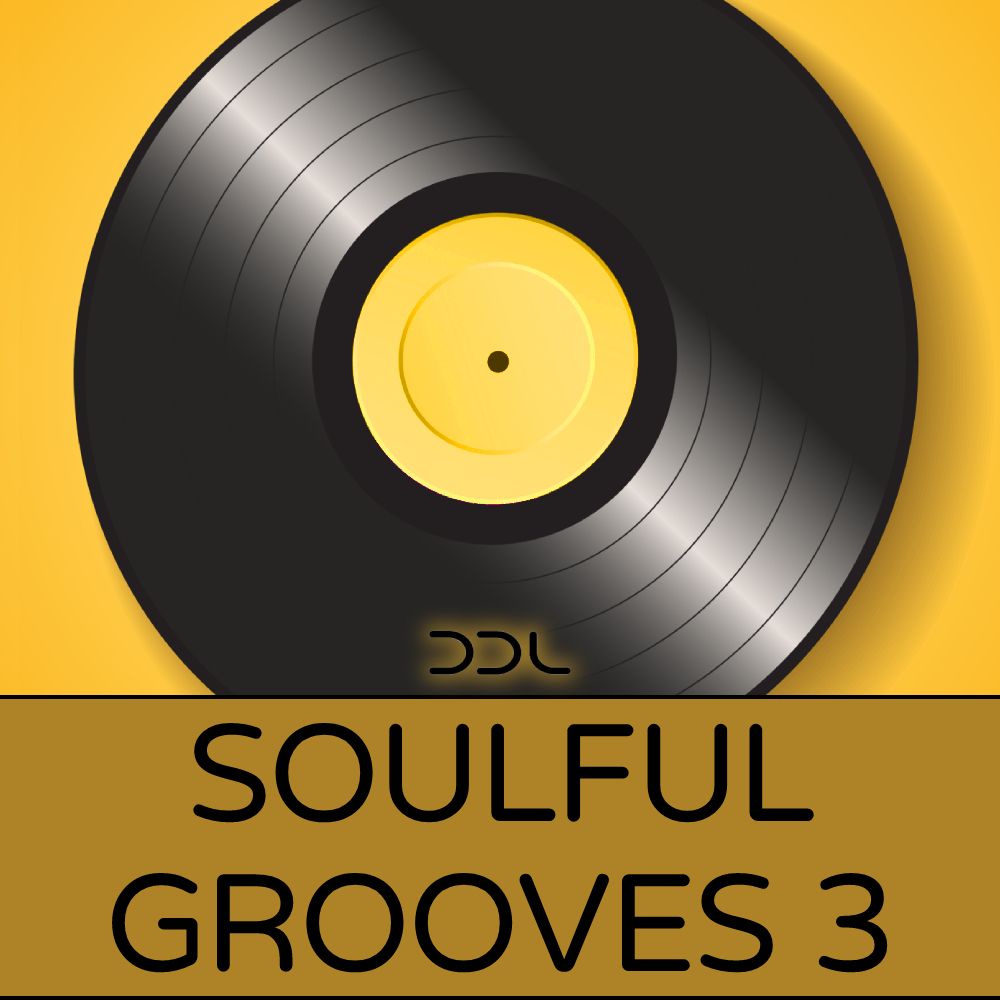 Soulful Grooves 3 Sample Pack | LANDR Samples