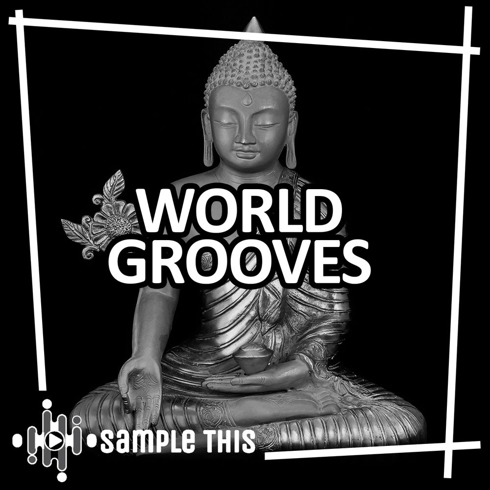 World Grooves Sample Pack | LANDR Samples