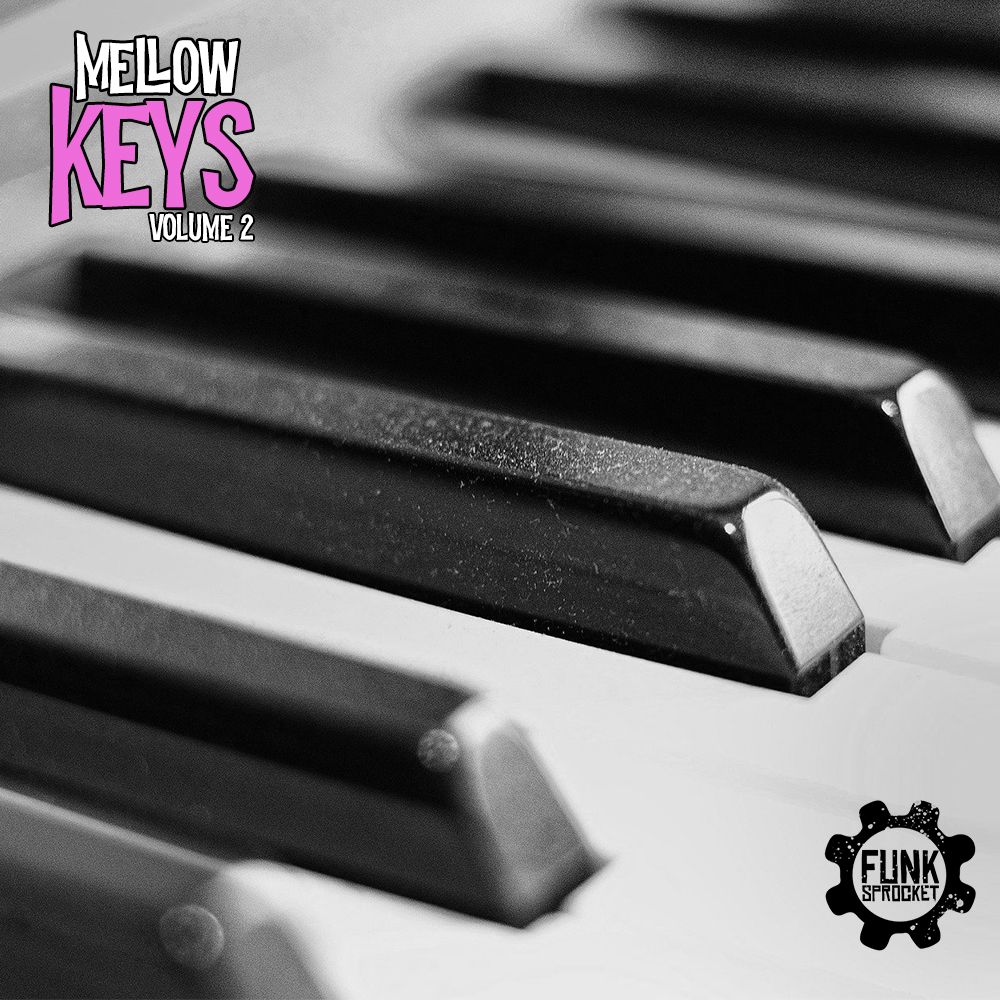 Mellow Keys Vol 2 Sample Pack | LANDR Samples