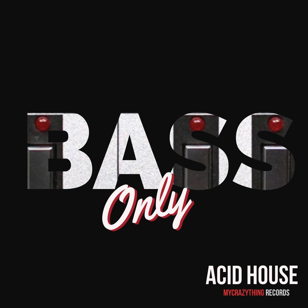 Bass Only Acid House Sample Pack | LANDR Samples