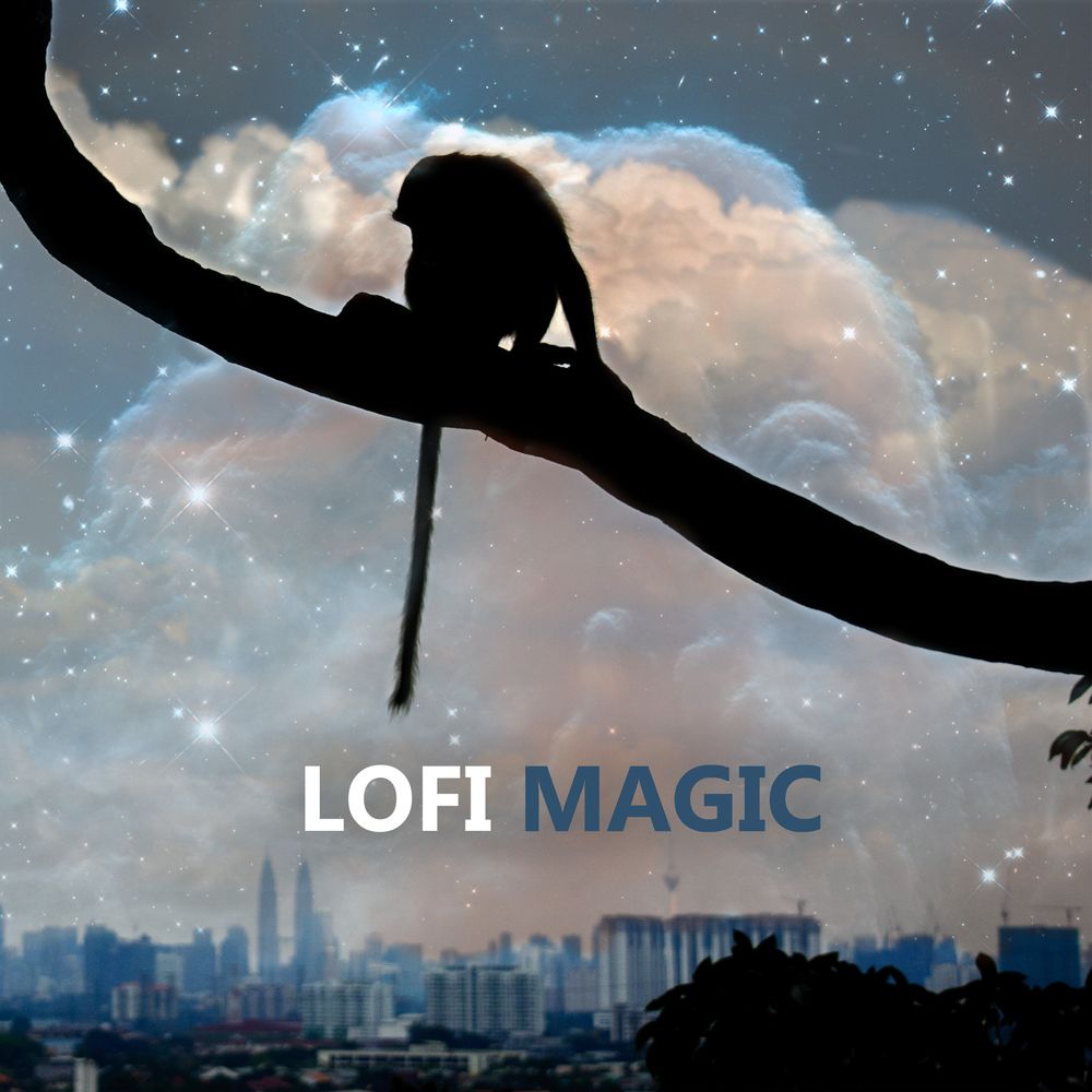 Lofi Hip Hop Magic Vol. 1 Sample Pack | LANDR Samples