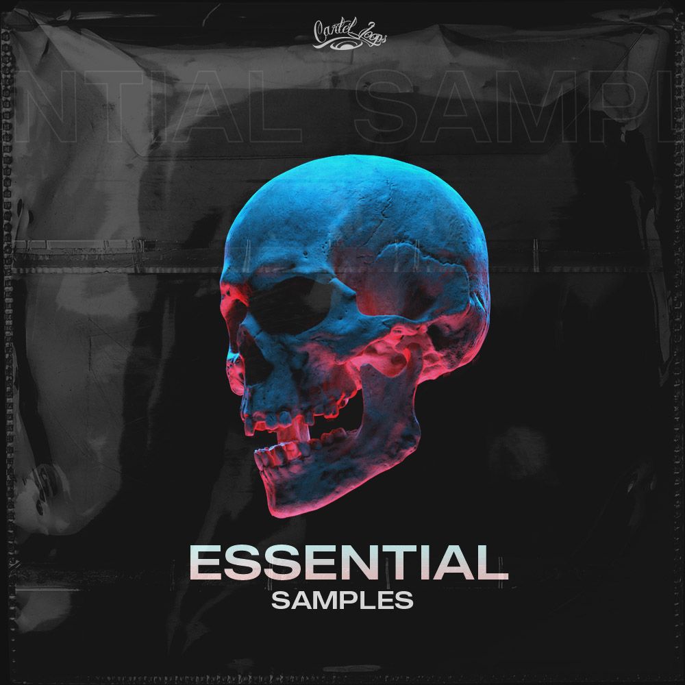 Essential Samples 샘플 팩 | LANDR Samples