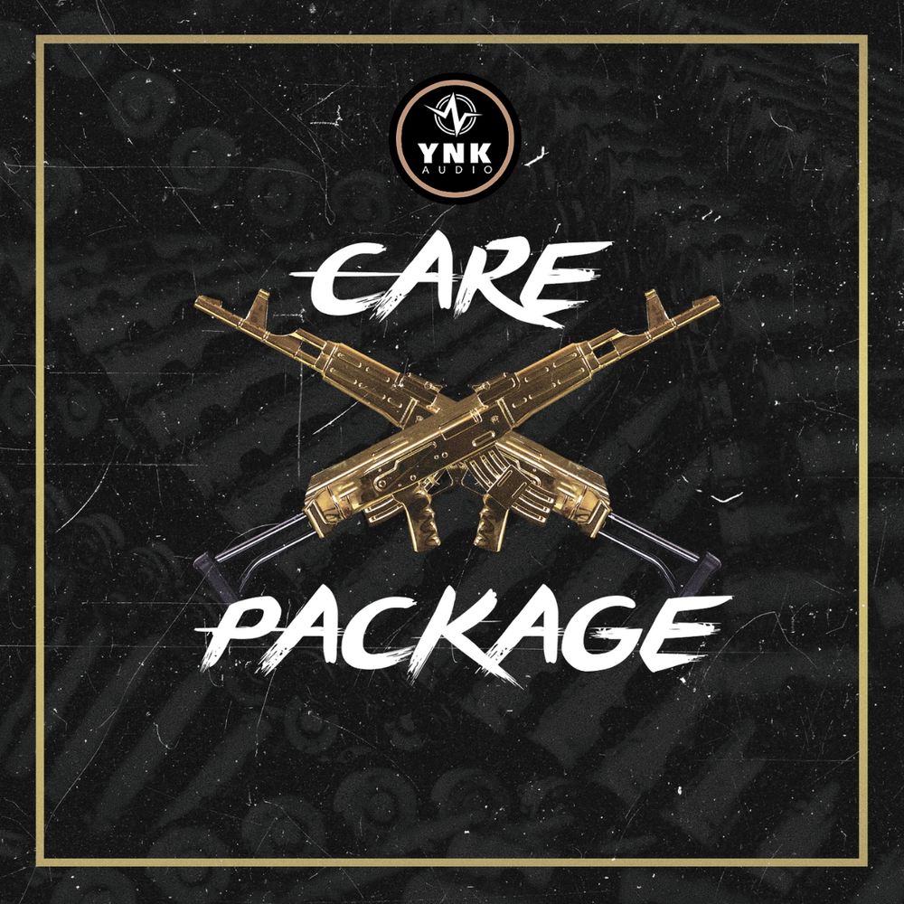 Care Package Sample Pack | LANDR Samples