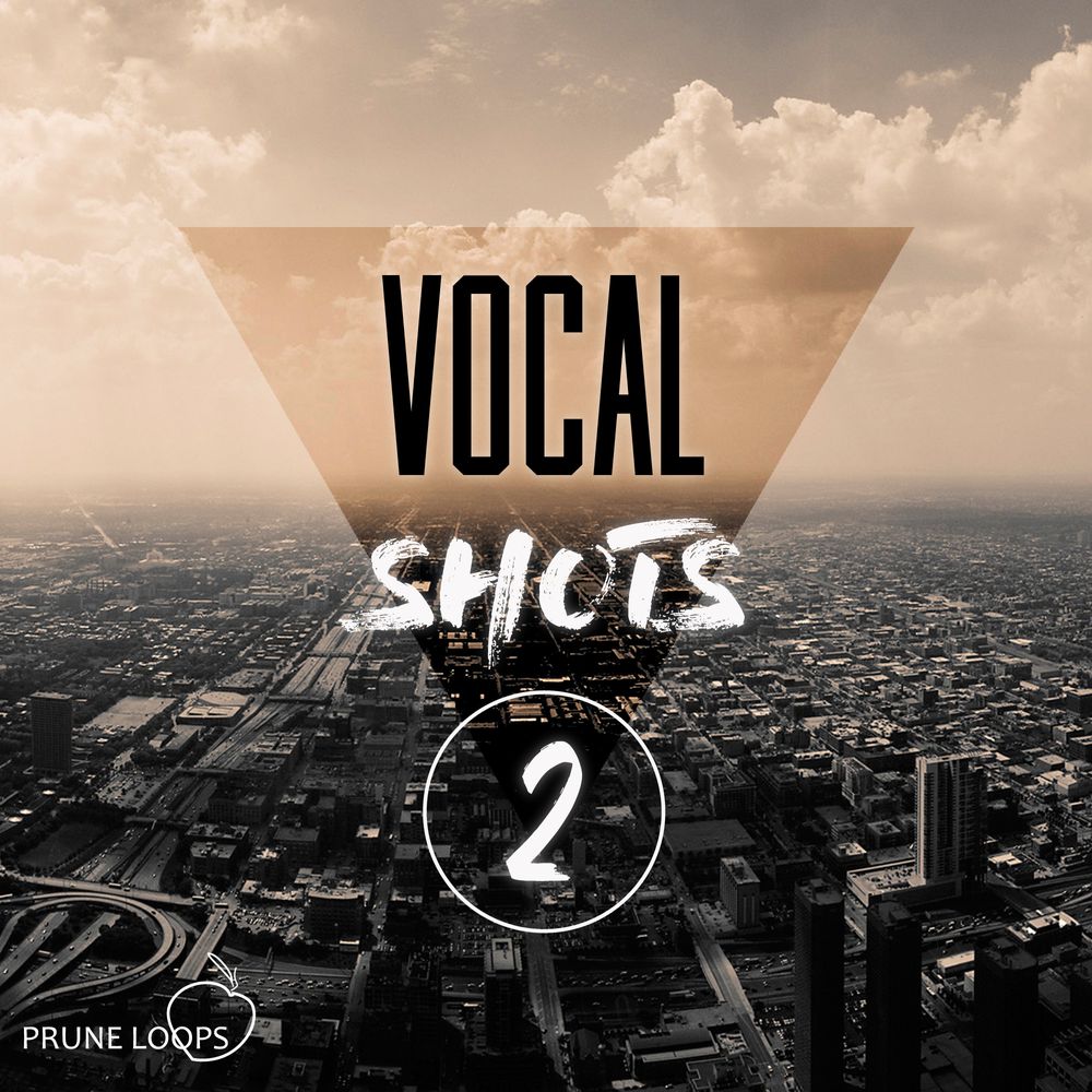 Vocal Shots Vol 2 Sample Pack | LANDR Samples