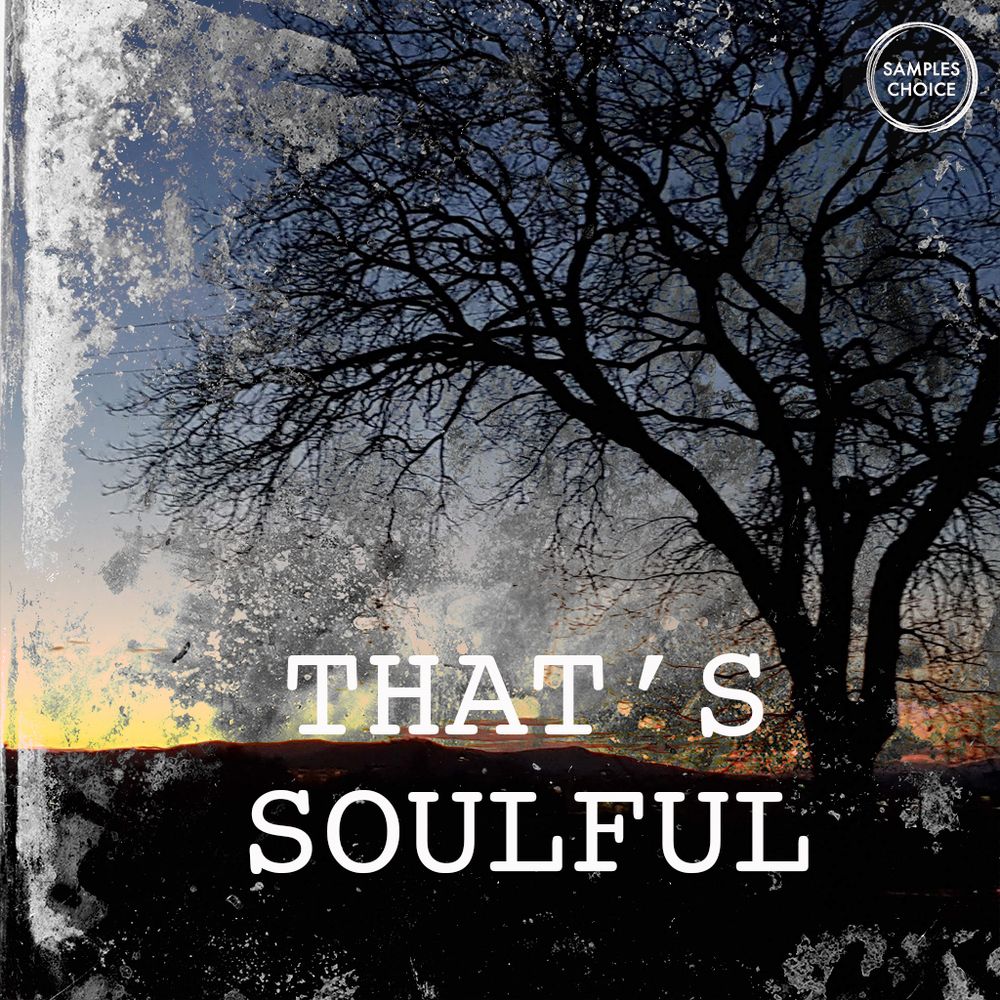 That's Soulful Sample Pack | LANDR Samples