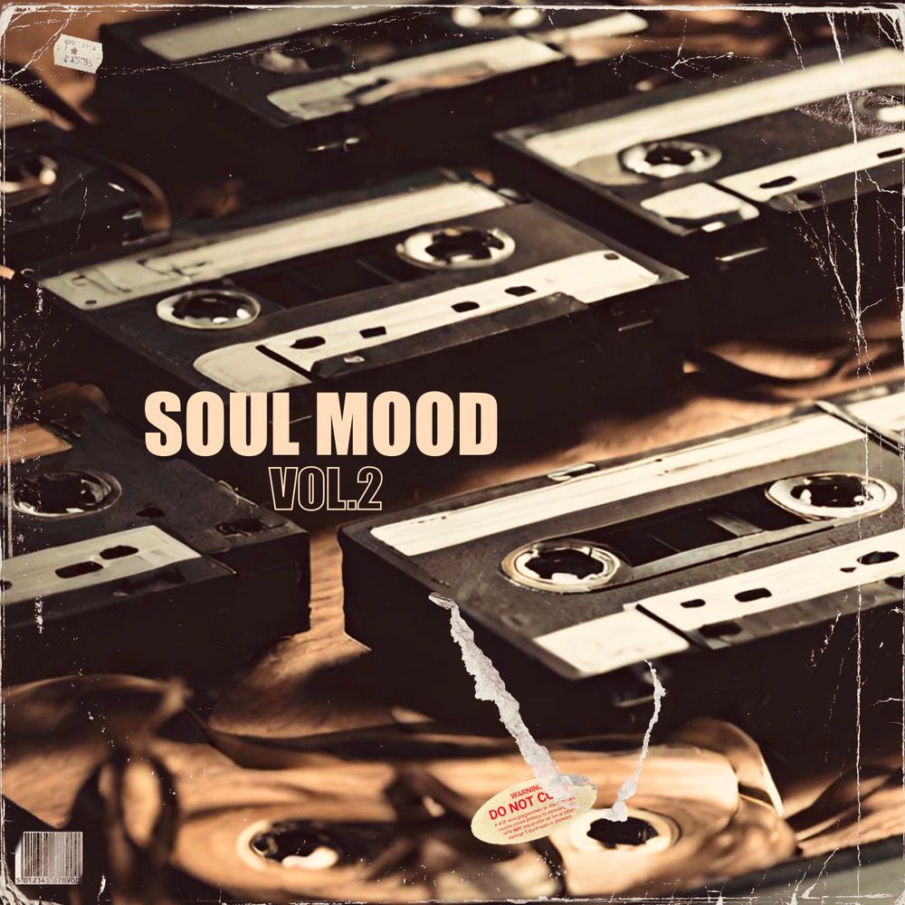 Soul Mood Vol.2 Sample Pack | LANDR Samples