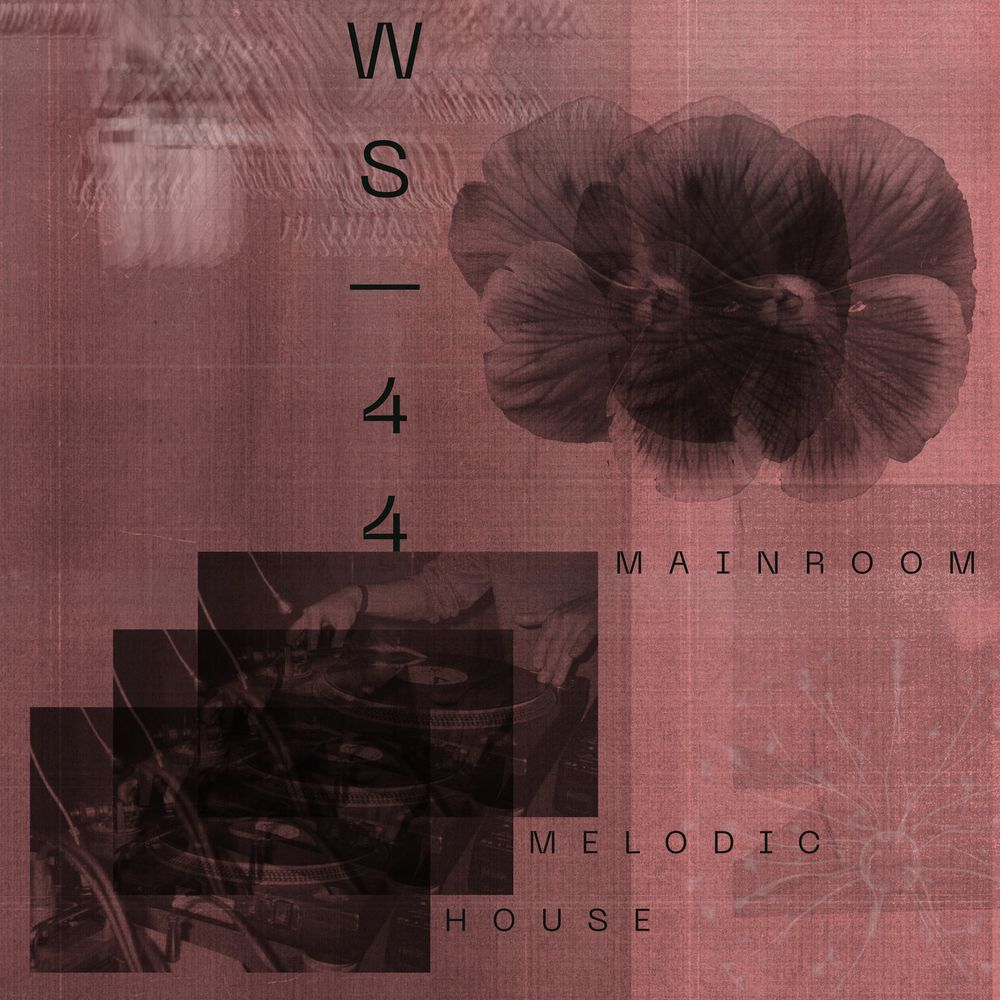 Mainroom Melodic House Sample Pack | LANDR Samples