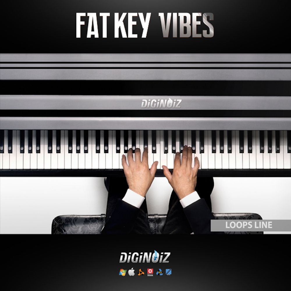 Fat Key Vibes Sample Pack | LANDR Samples