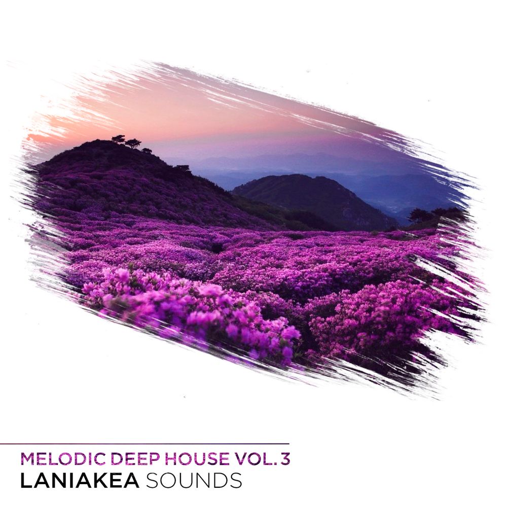 Melodic Deep House Vol. 3 Sample Pack | LANDR Samples