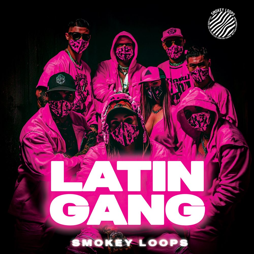Latin Gang Sample Pack | LANDR Samples