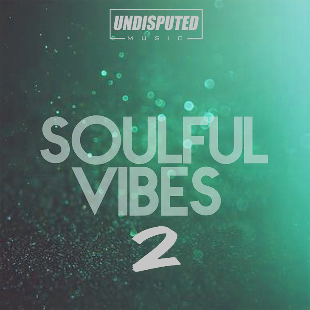 Soulful Vibes 2 Sample Pack | LANDR Samples