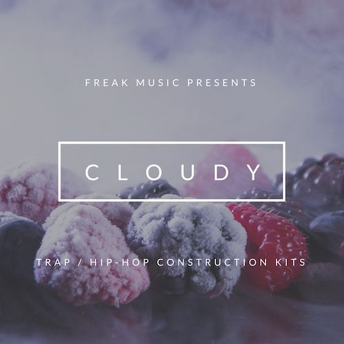 Cloudy Sample Pack | LANDR Samples