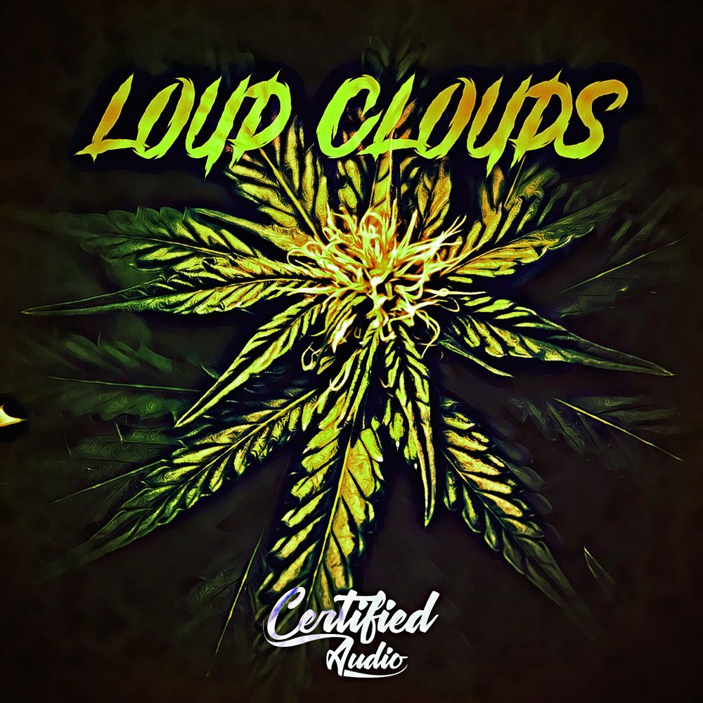Loud Clouds Sample Pack | LANDR Samples